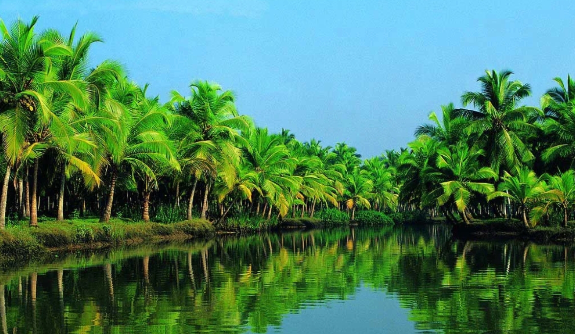 Lịch sử và Phát triển